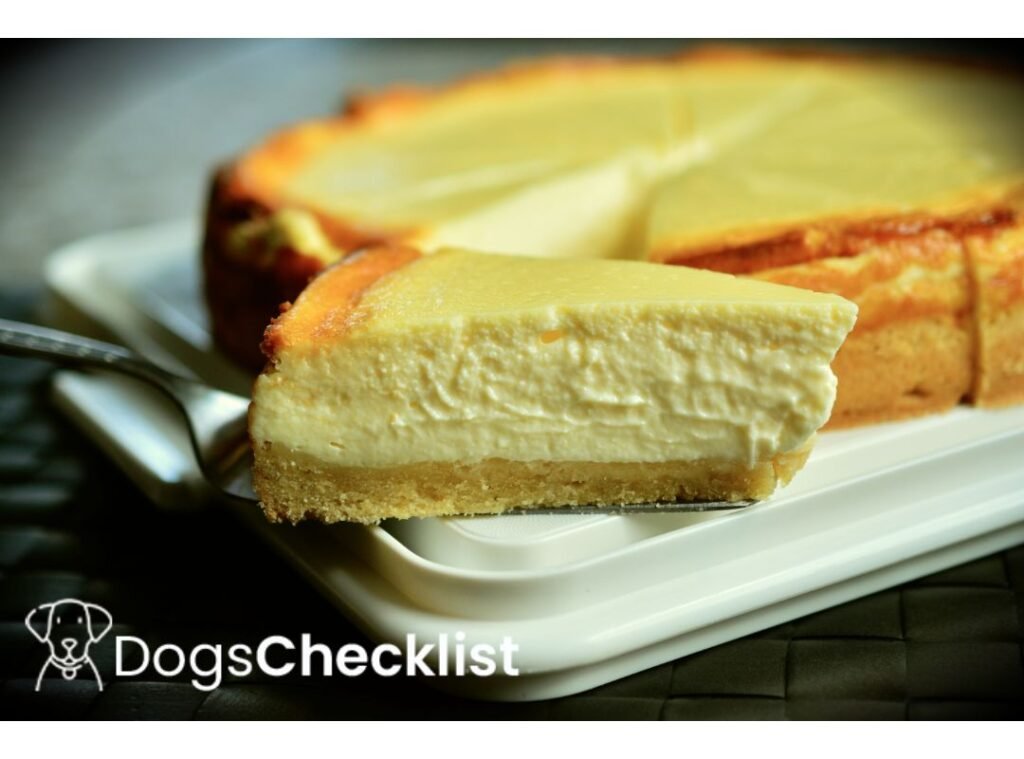 Can Dogs Eat Cheesecake? What You Should Know